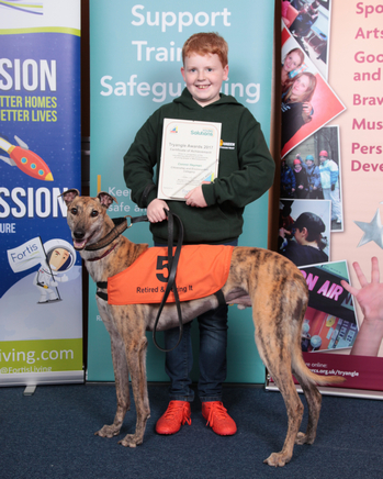 Tryangle Awards 2017 « Young Solutions